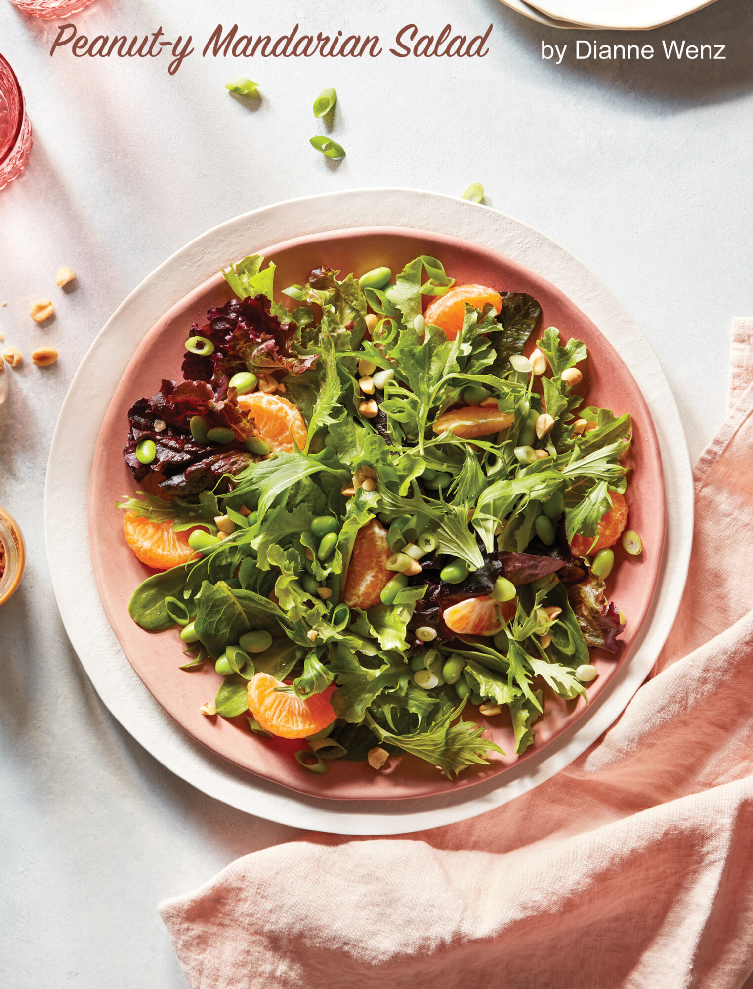 Peanutty Mandarin Salad By Dianne Wenz - Jazzy Vegetarian - Vegan and ...