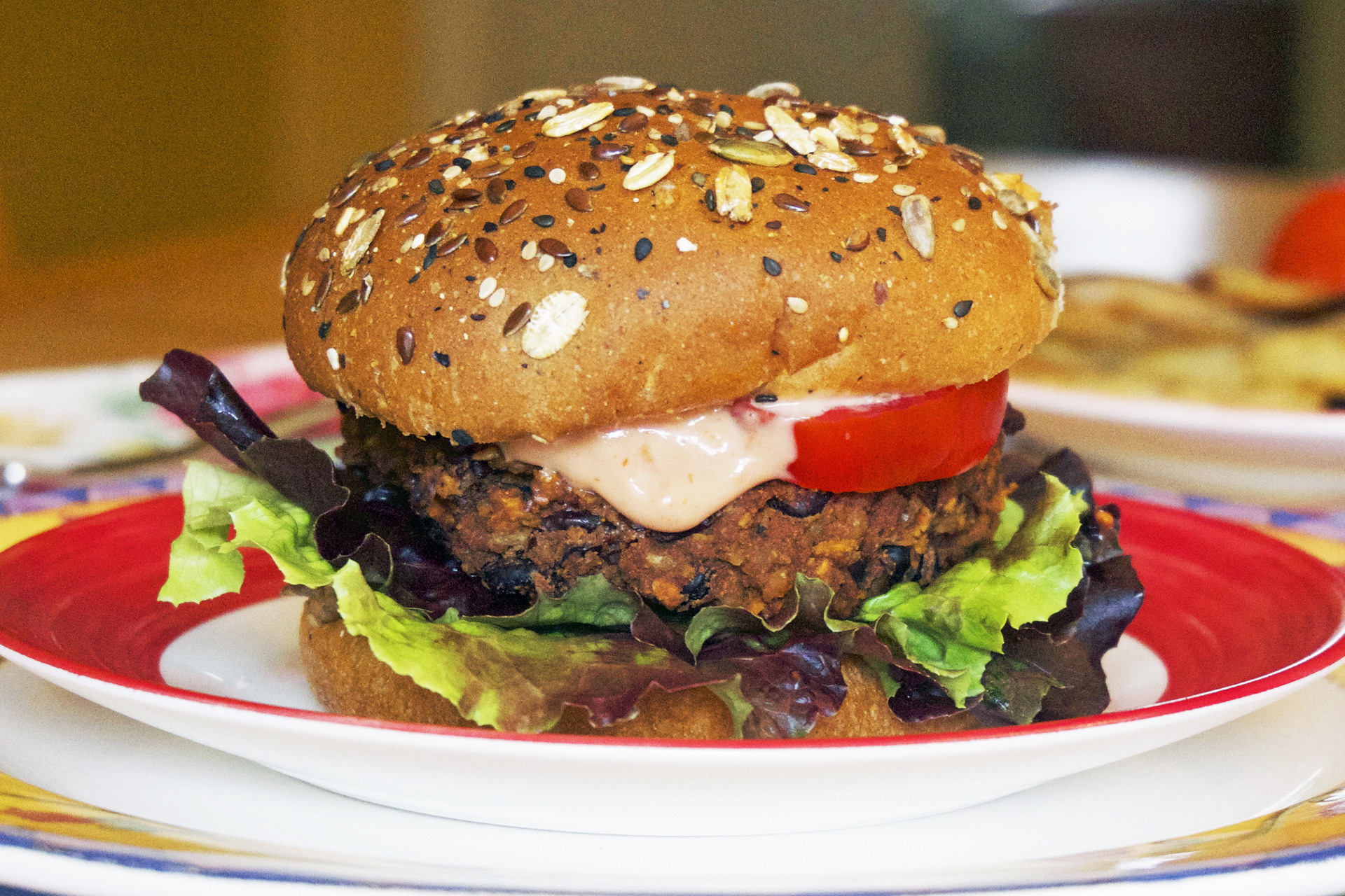 ABOUT SEASON TEN on Public Television - Jazzy Vegetarian - Vegan and ...