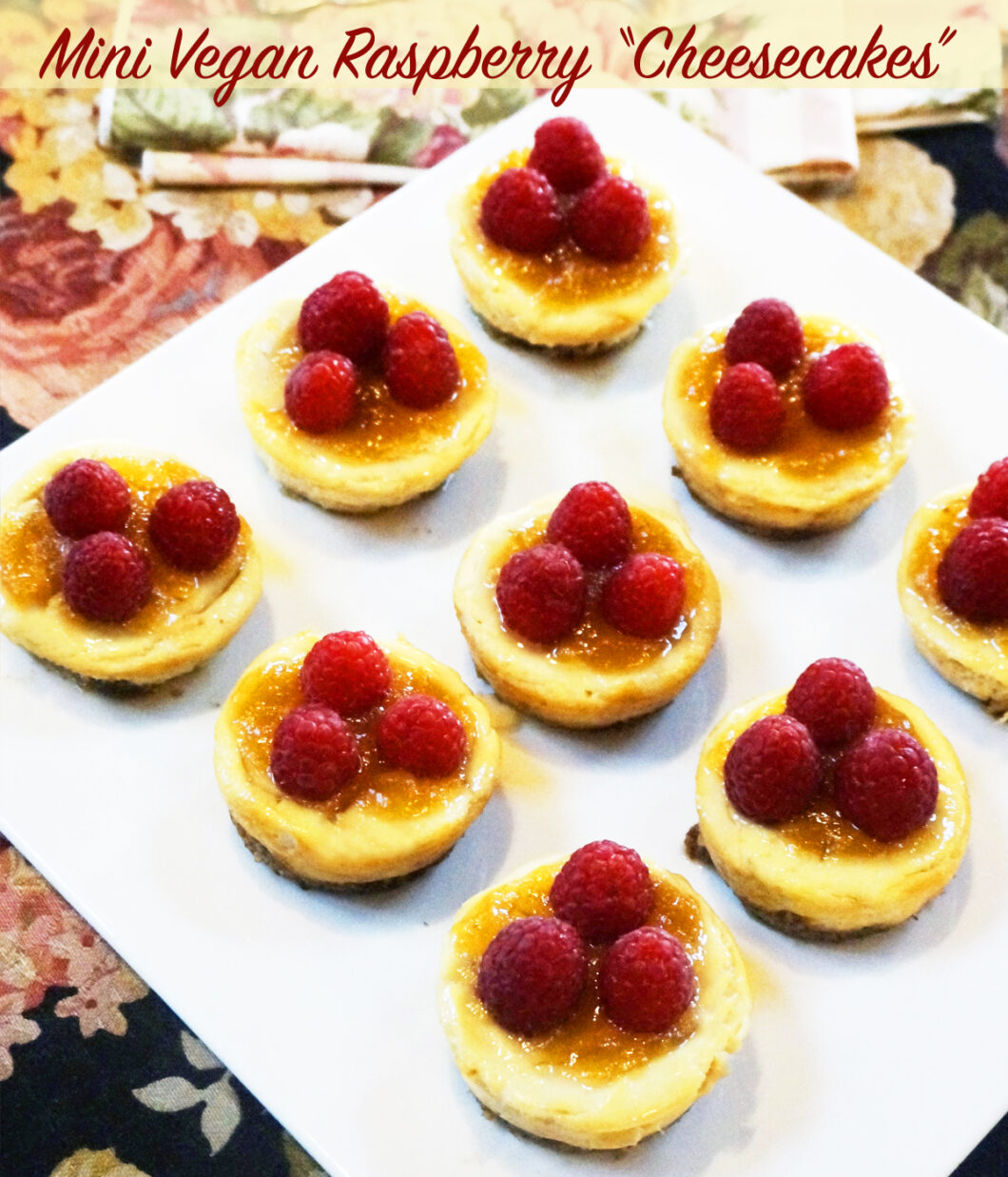 Pretty Little Vegan Raspberry Cheesecakes - Jazzy Vegetarian - Vegan ...