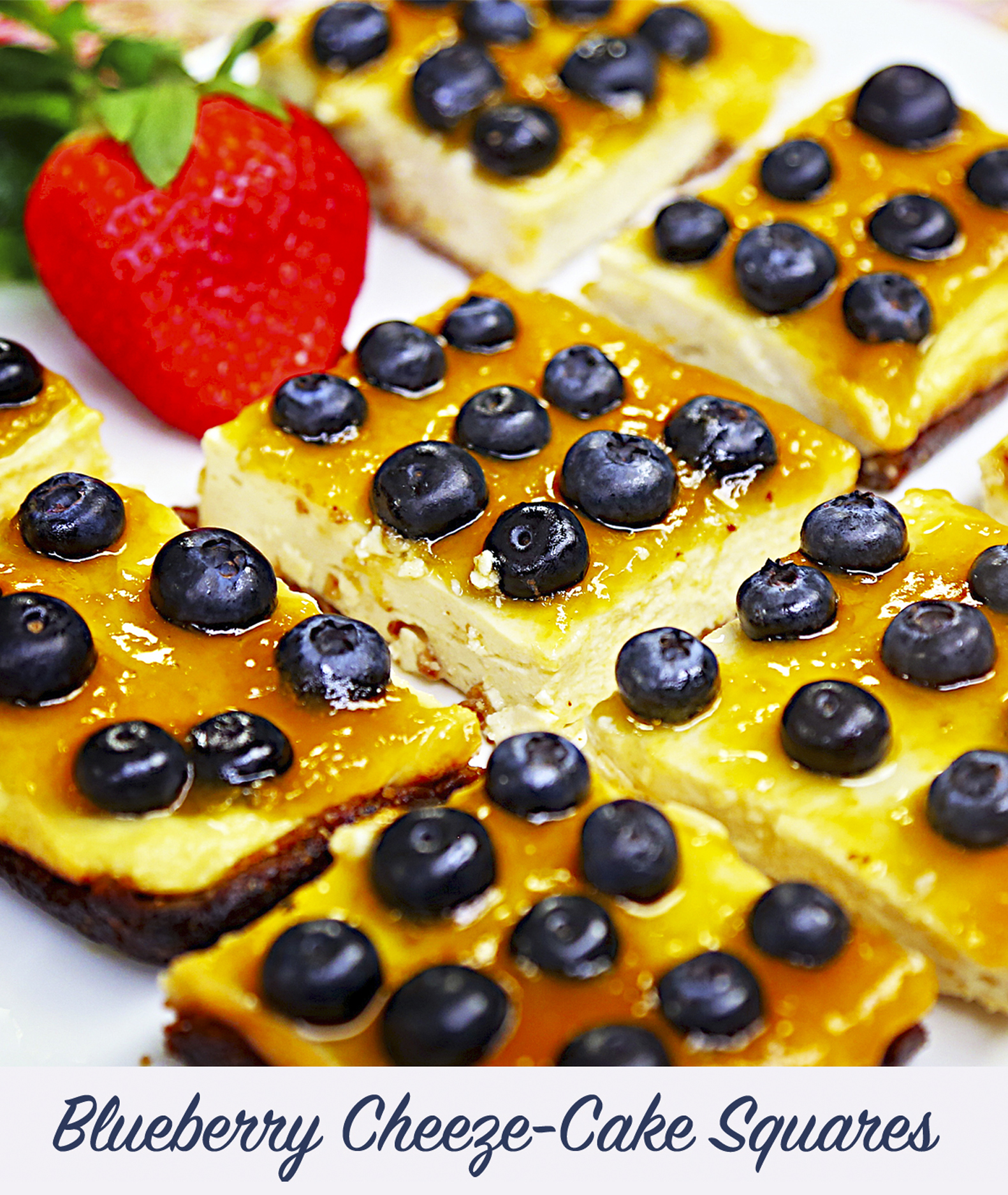 Blueberry Cheeze-Cake Squares - Jazzy Vegetarian - Vegan and Delicious!