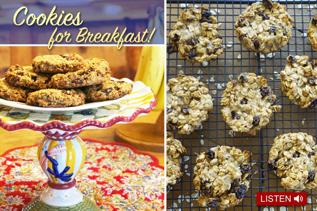 JAZZY VEGETARIAN PODCAST - Jazzy Vegetarian - Vegan and Delicious!